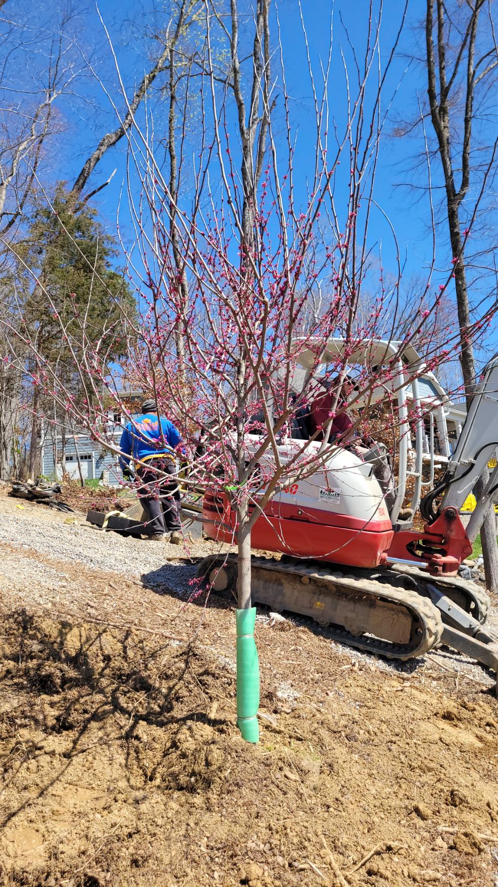 Final Photos – Lakeside Project